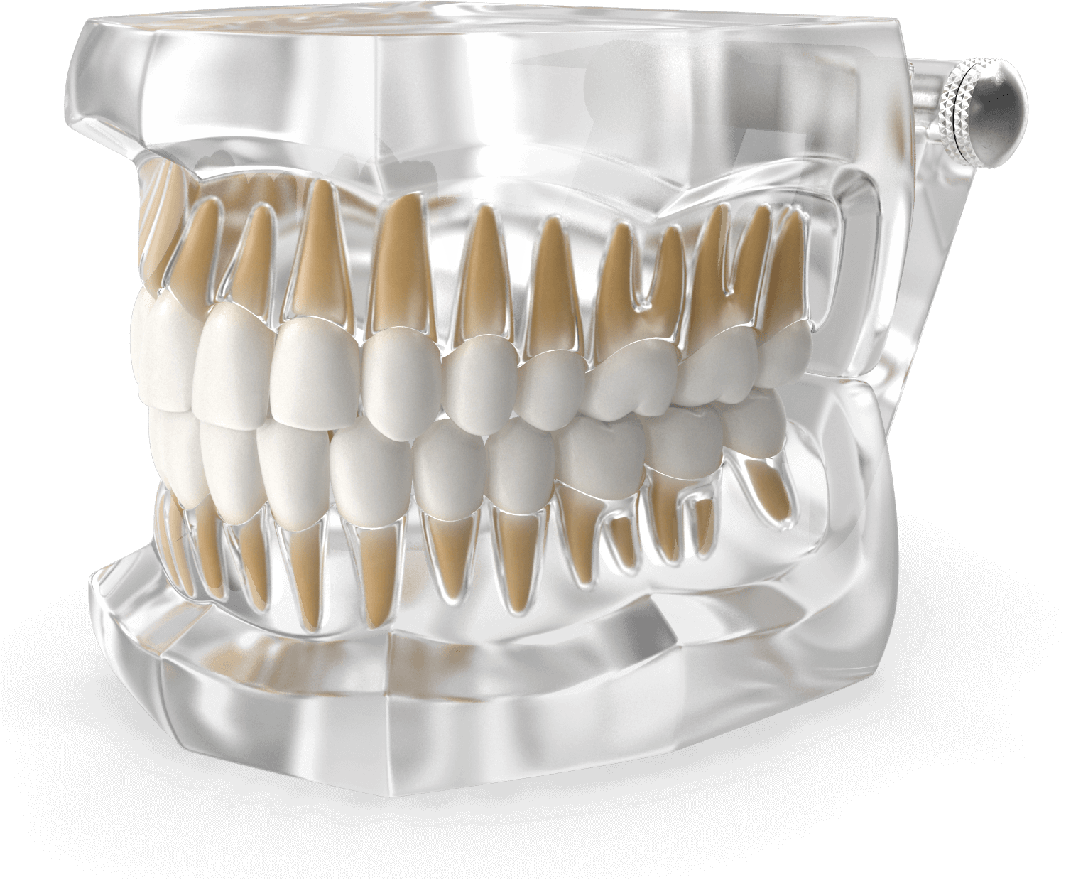 Dentist Answer Supplies – Dentist Answer Supplies